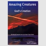 Amazing creatures of God’s creation - Know Your Bible